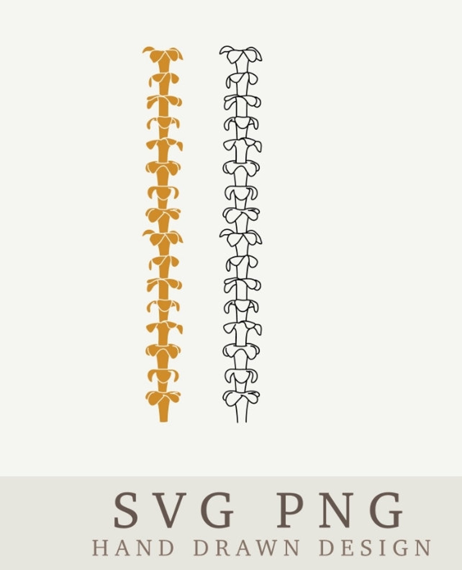 Pua Kenikeni Svg Png Hawaii Flower Svg PNG Pdfdxf Fleur - Etsy