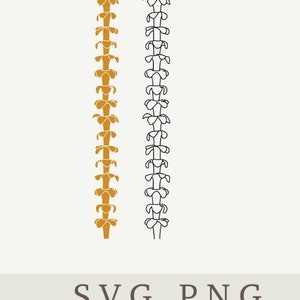 Pua Kenikeni Svg, Png Hawaii Flower Svg, PNG, Pdf, Dxf, Fleur De ...