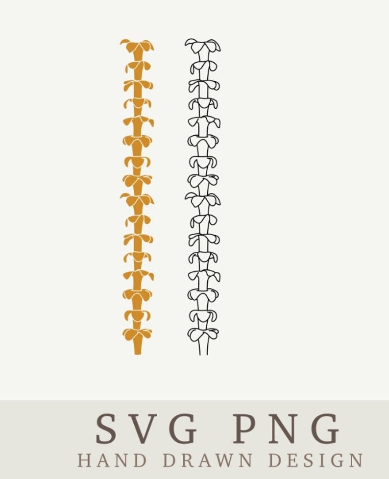 Pua Kenikeni Svg, Png Hawaii Flower Svg, PNG, Pdf, Dxf, Fleur De ...