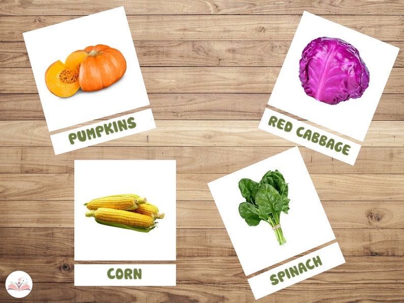 Educational Printable Cards, Flash Cards Nomenclature, Digital Card ...