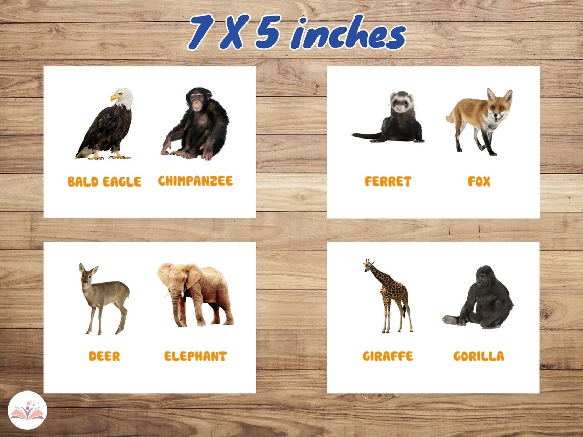 Forest Animals Flashcards, Educational Printable Cards, Flash Cards ...