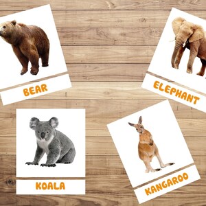 Forest Animals Flashcards Educational Printable Cards Flash - Etsy