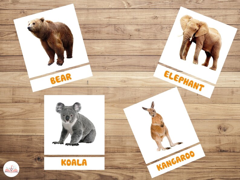 Forest Animals Flashcards, Educational Printable Cards, Flash Cards ...