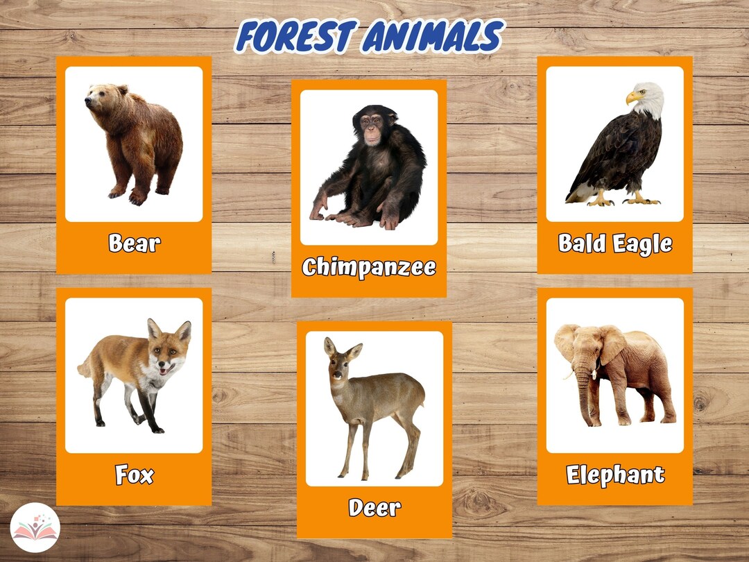 Forest Animals Flashcards, Educational Printable Cards, Flash Cards ...