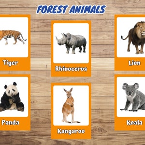 Forest Animals Flashcards Educational Printable Cards Flash - Etsy