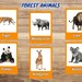 Forest Animals Flashcards, Educational Printable Cards, Flash Cards ...