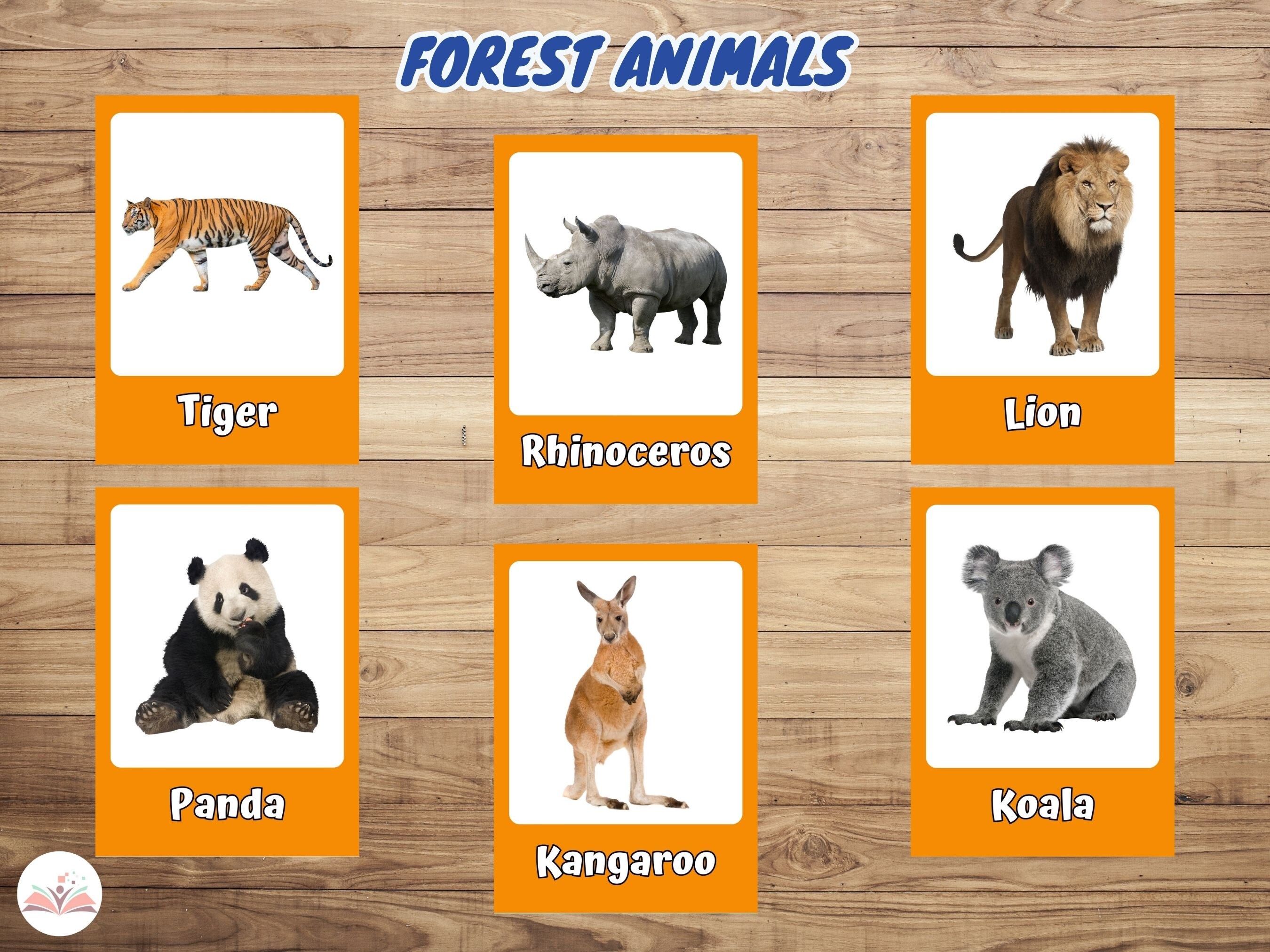 Forest Animals Flashcards, Educational Printable Cards, Flash Cards ...