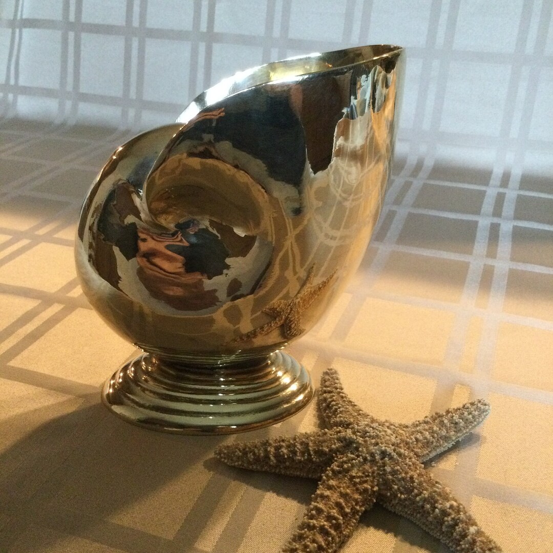Brass Solid Nautilus Shell Objet D'art, Planter, Vase Vintage India - Etsy
