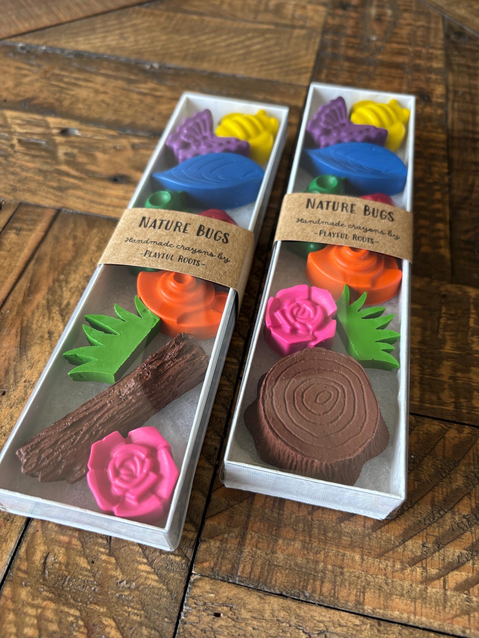 Crayon Nature Bugs Gift Set, Sensory Learning, Party Favors, Birthday ...