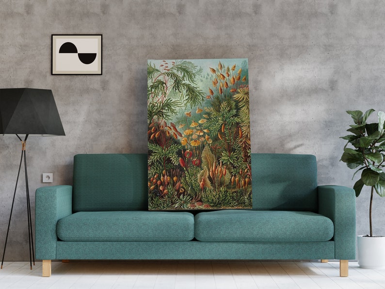 Ernst Haeckel Art Forms in Nature Vintage Poster Muscinae Mushroom ...
