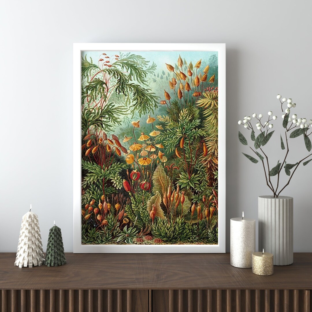 Ernst Haeckel Art Forms in Nature Vintage Poster Muscinae Mushroom ...