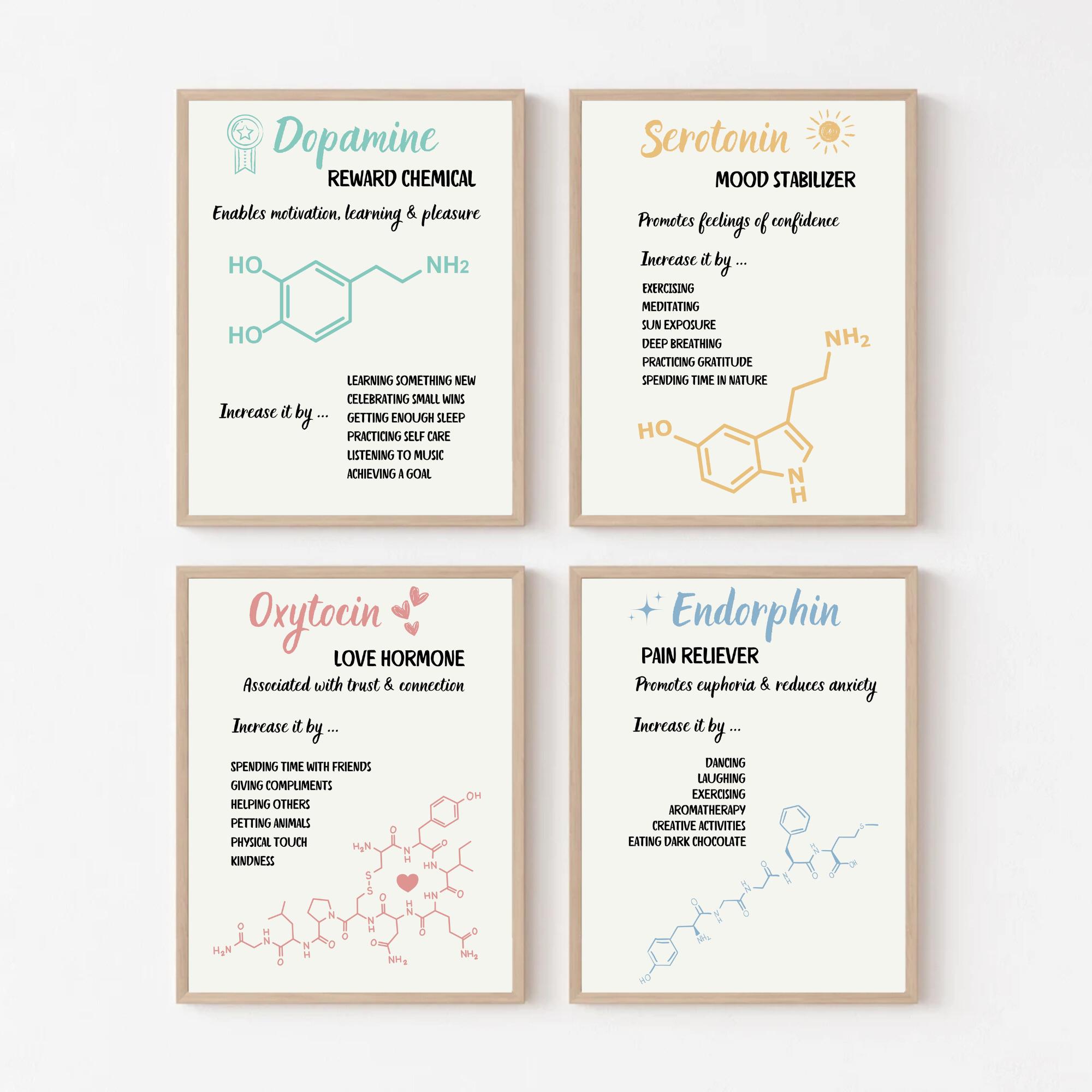 Happiness Hormones Happy Chemicals Set of 4 Posters Mental Health Wall ...
