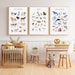 Set of 6 Animals Educational Posters Insects Farm Rainforest Woodland ...