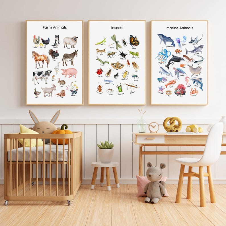 Set of 6 Animals Educational Posters Insects Farm Rainforest Woodland ...