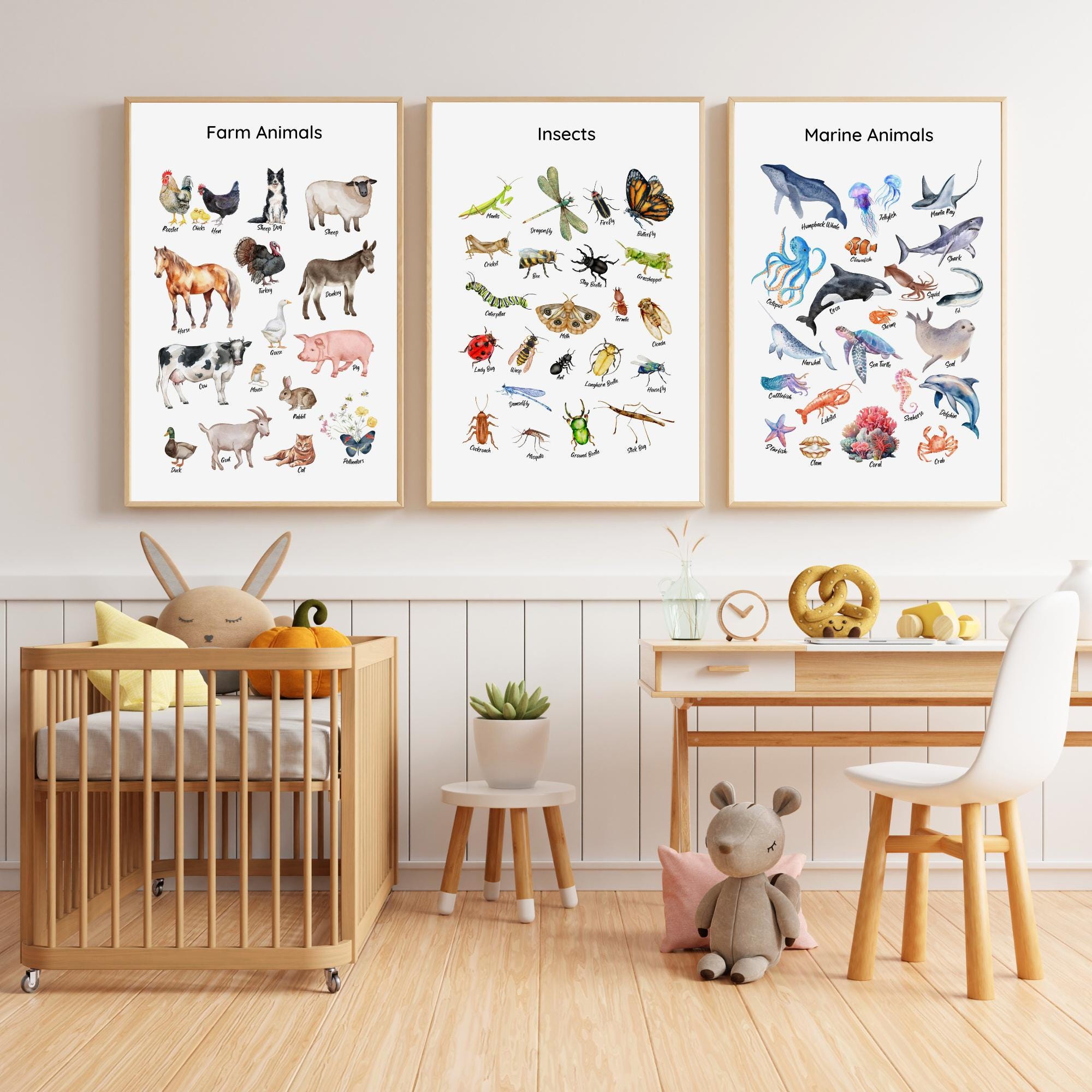 Set of 6 Animals Educational Posters Insects Farm Rainforest Woodland ...