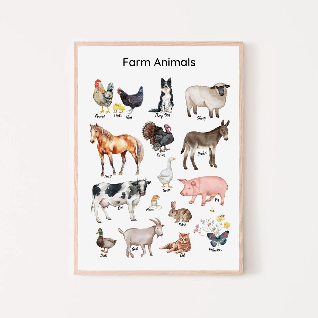 Farm Animals Educational Poster Barnyard Animal Chart Classroom Decor ...