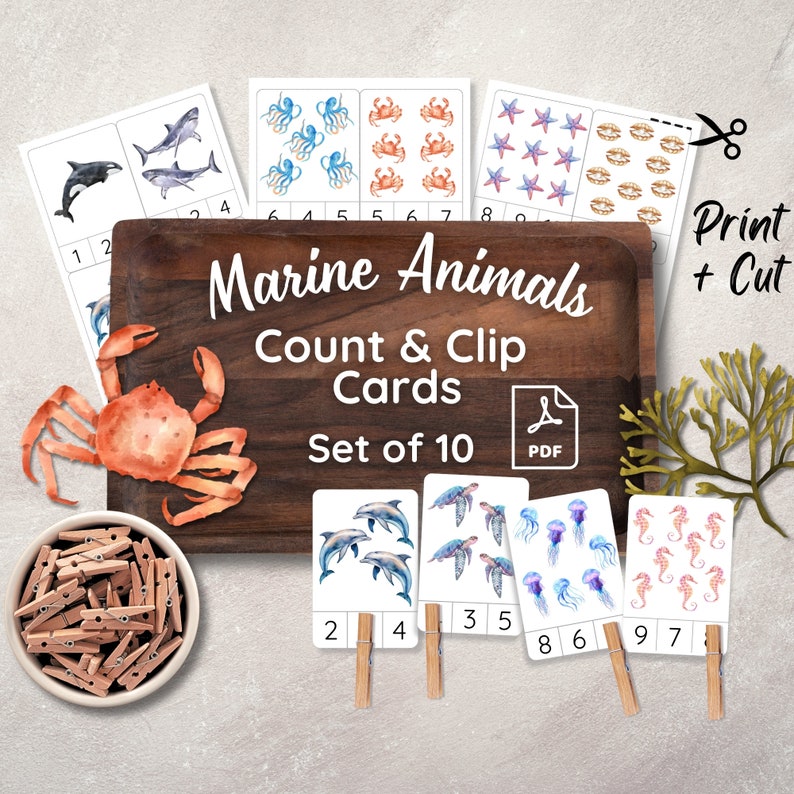 Marine Animals Count and Clip Cards, Counting 1-10, Number Flash Cards ...