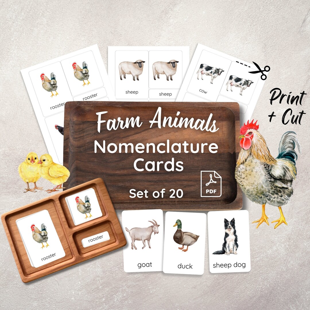 Farm Animals Nomenclature Cards Set of 20, Montessori 3 Part Cards ...