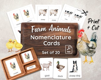 Montessori Farm Animal 3 Part Cards - Etsy Ireland