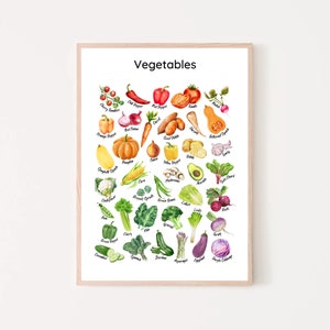 Fruits Vegetables Educational Posters Set of 3 Eat the Rainbow ...