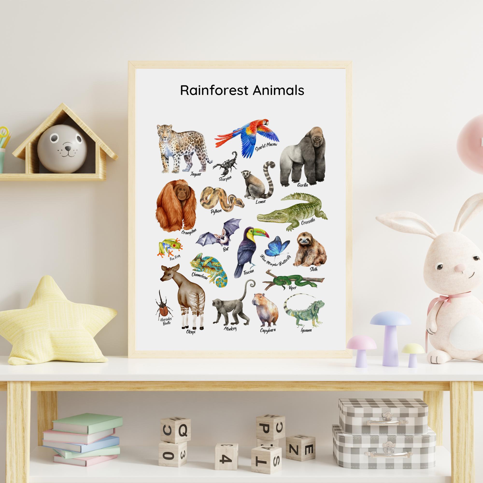 Rainforest Animals Poster Jungle Animal Chart Educational Classroom ...