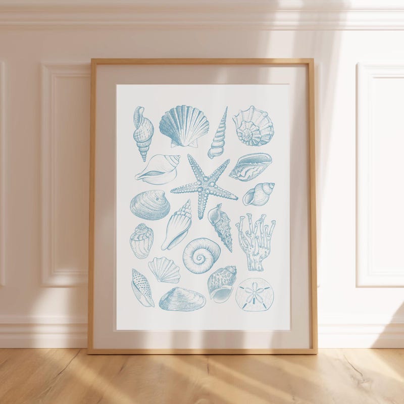 Seashell Art Print - Etsy