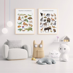 Set of 6 Animals Educational Posters Insects Farm Rainforest Woodland ...