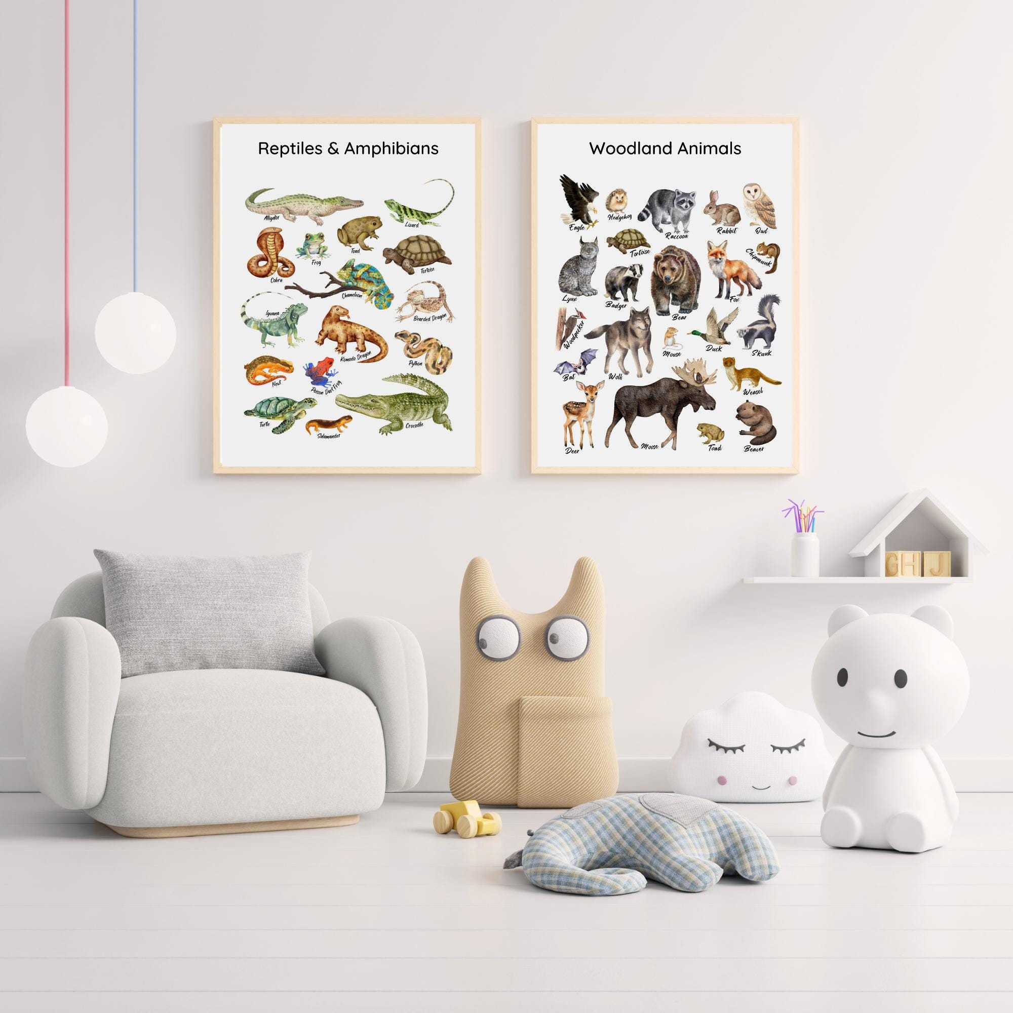 Set of 6 Animals Educational Posters Insects Farm Rainforest Woodland ...