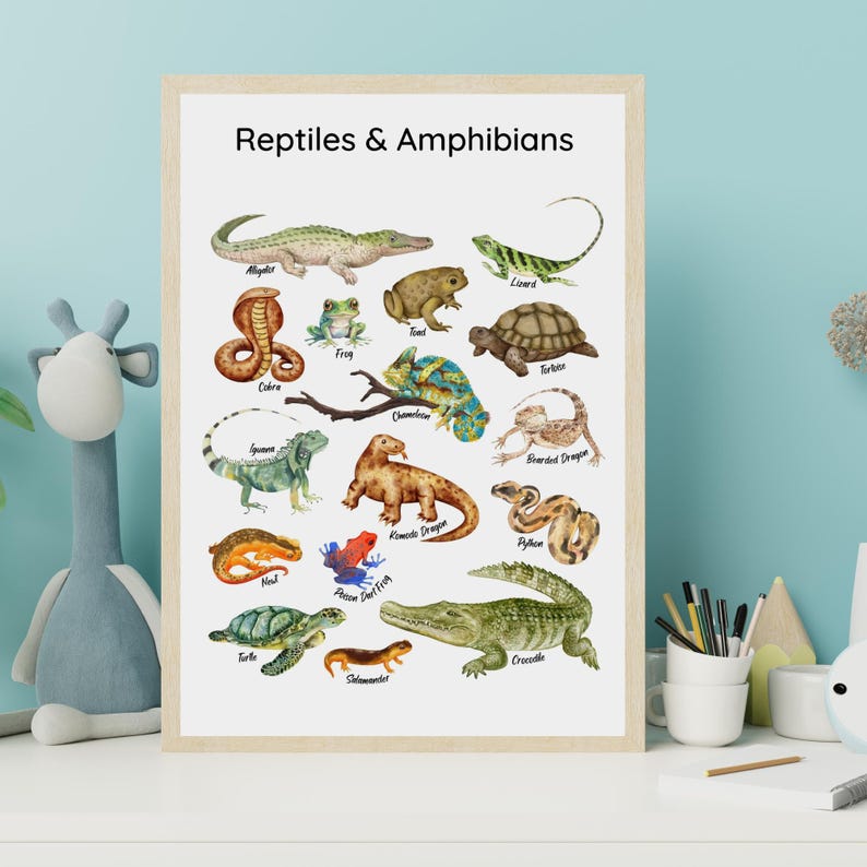 Reptiles Amphibians Educational Poster Exotic Animal Chart Classroom ...