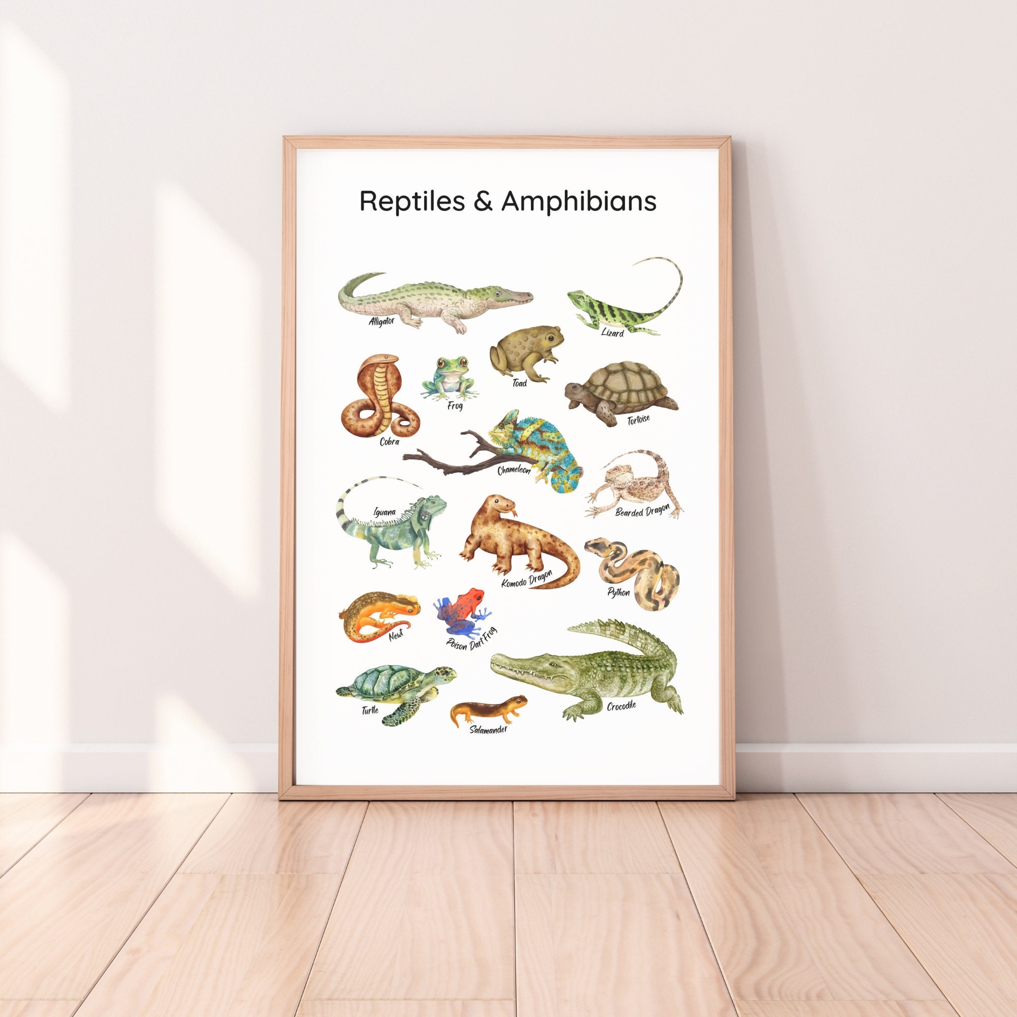 Reptiles Amphibians Educational Poster Exotic Animal Chart Classroom ...