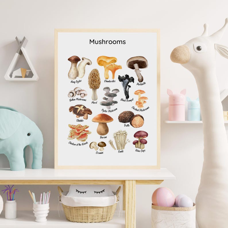 Mushroom Educational Poster Printable Fungi Food Chart Kitchen Artwork ...