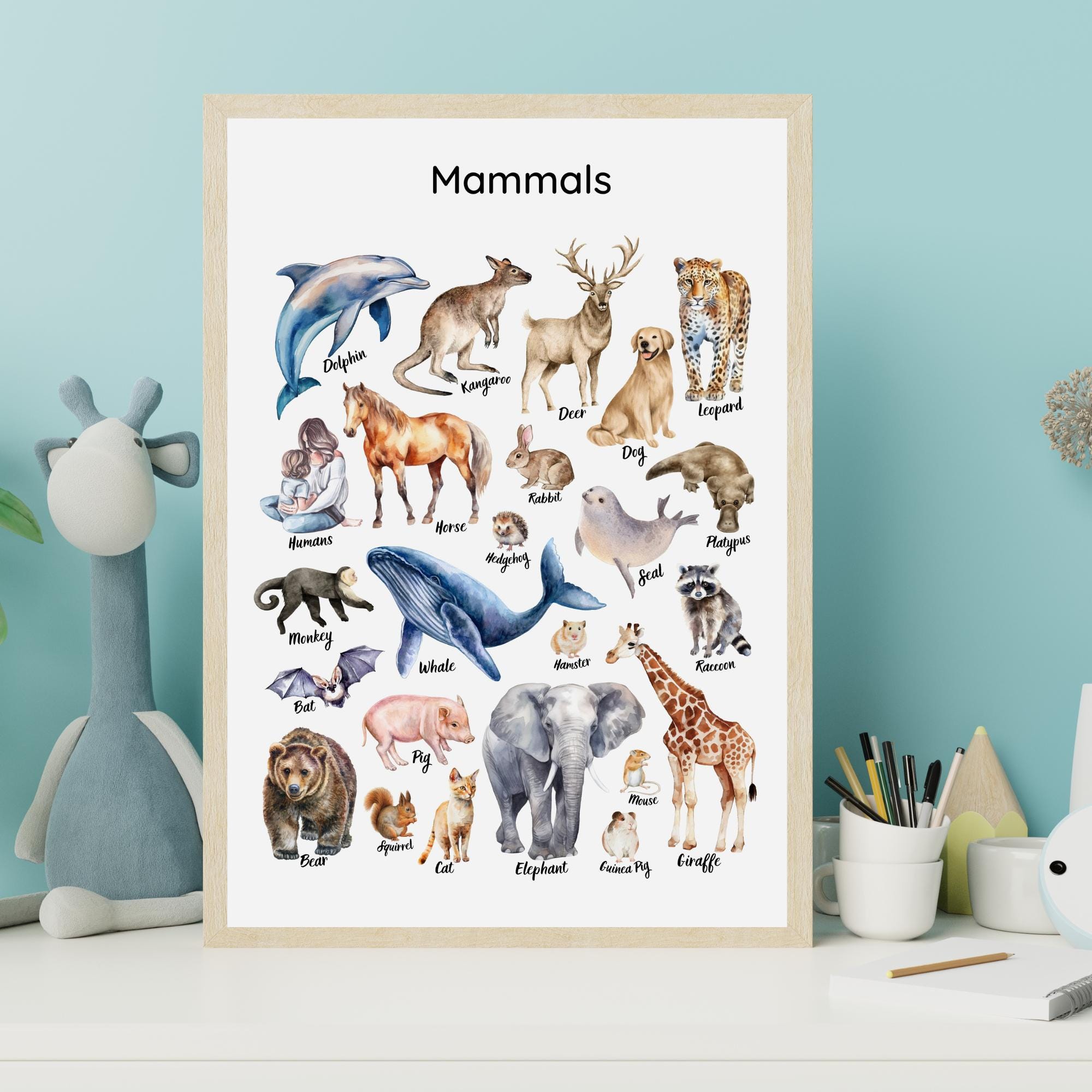 Mammals Educational Poster Animal Chart Montessori Classroom Decor ...