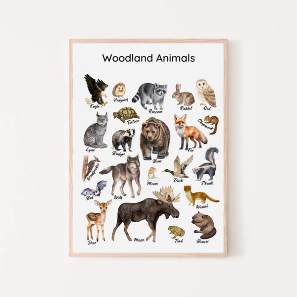 Montessori Wall Art - Etsy