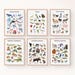 Set of 6 Animals Educational Posters Insects Farm Rainforest Woodland ...