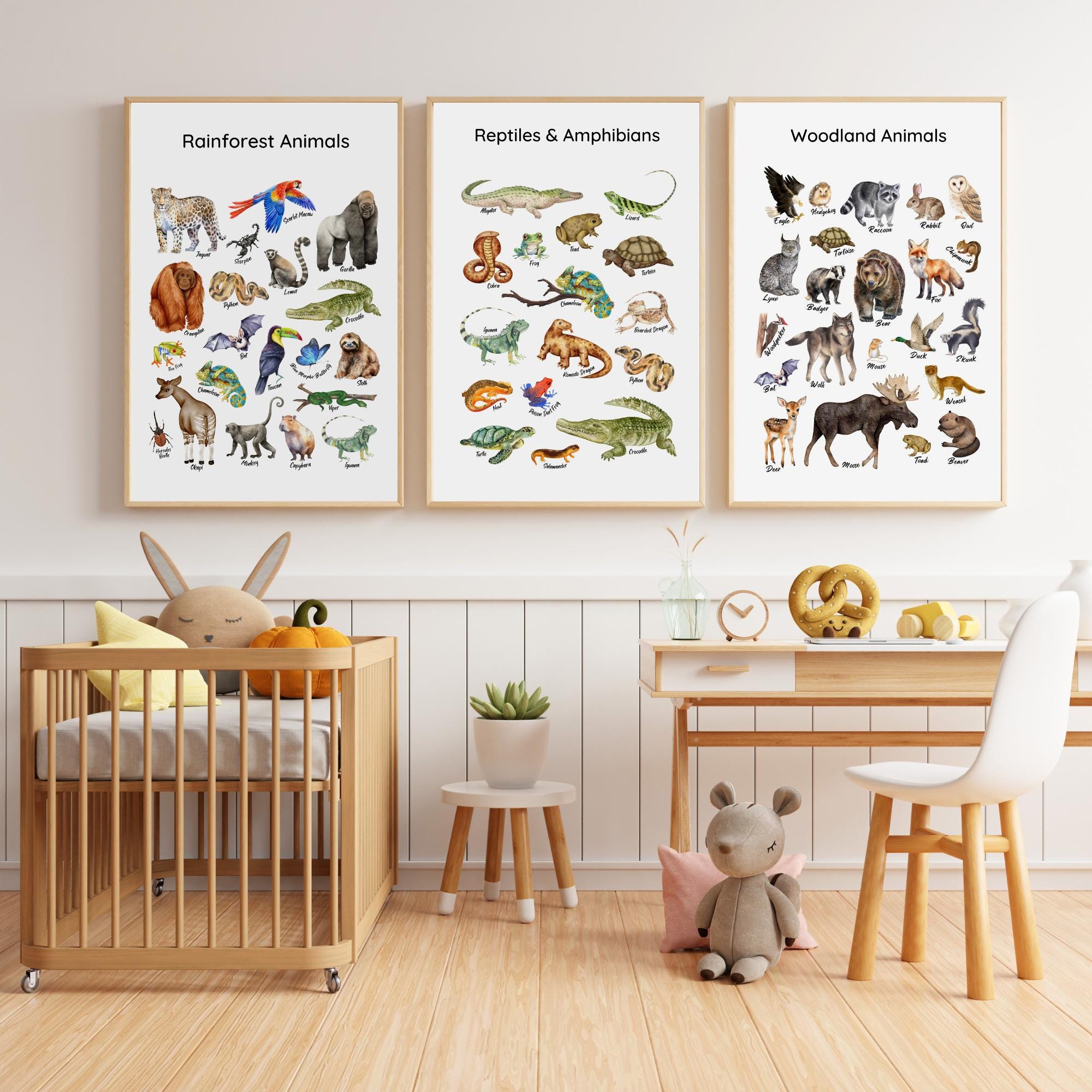 Set of 6 Animals Educational Posters Insects Farm Rainforest Woodland ...