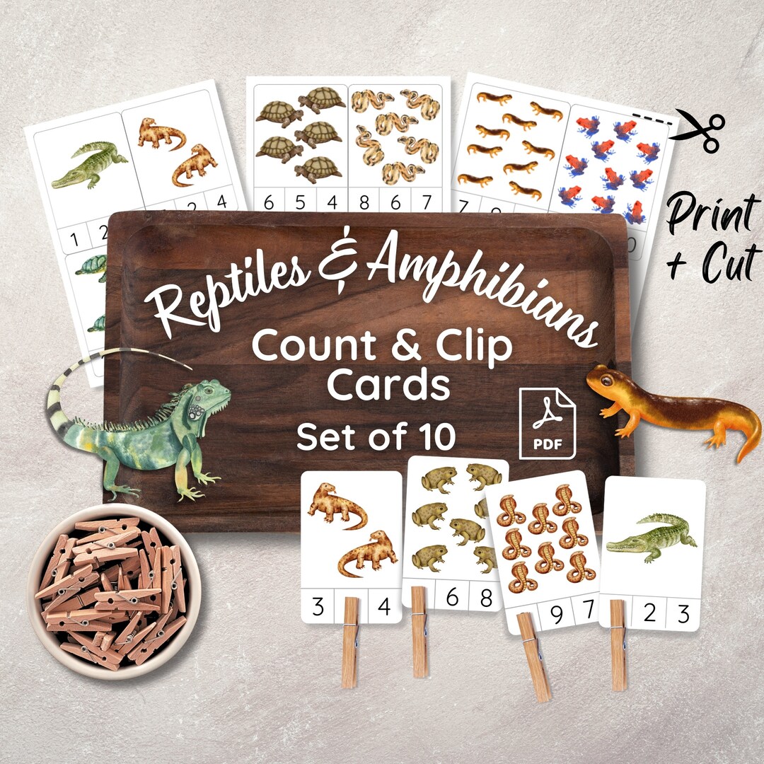 Reptiles Amphibians Count and Clip Cards, Counting 1-10, Number Flash ...