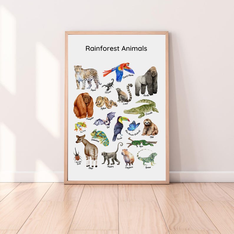 Rainforest Animals Poster Jungle Animal Chart Educational Classroom ...