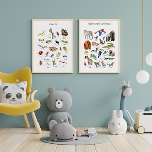 Set of 6 Animals Educational Posters Insects Farm Rainforest Woodland ...
