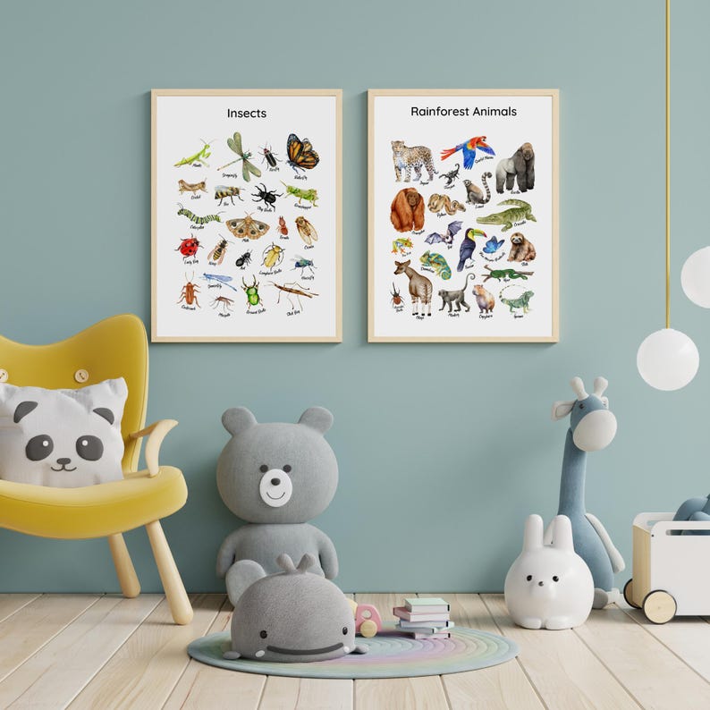 Set of 6 Animals Educational Posters Insects Farm Rainforest Woodland ...
