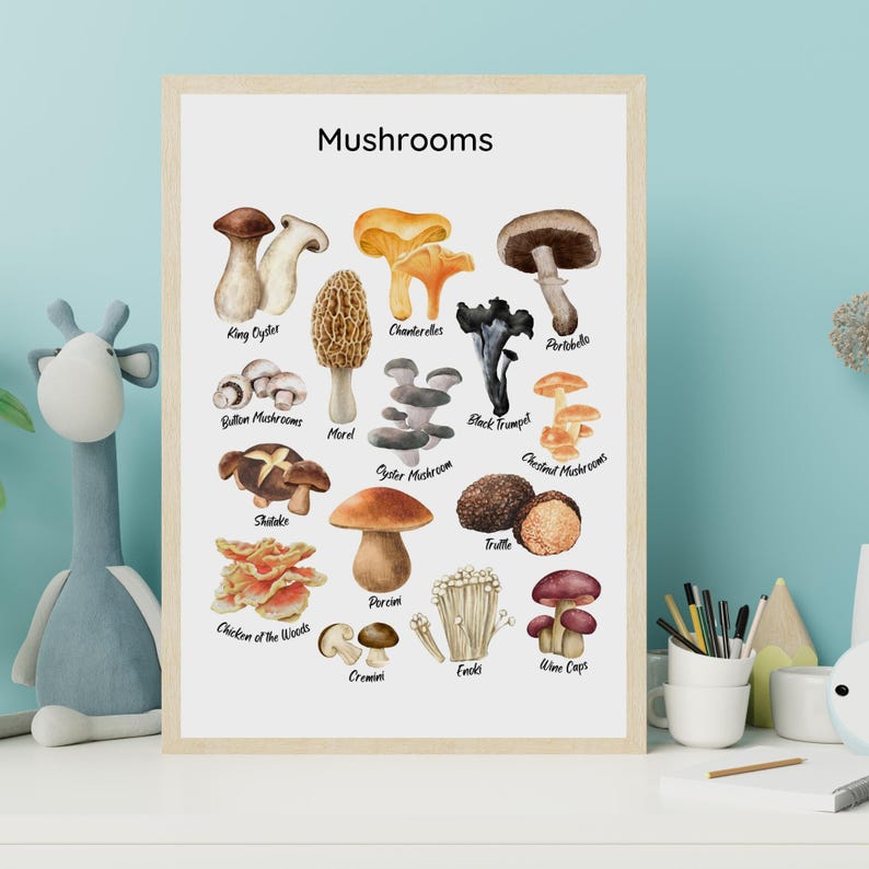 Mushroom Educational Poster Printable Fungi Food Chart Kitchen Artwork ...