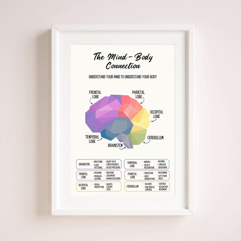 Mind Body Connection Poster, Brain Anatomy Print, Therapy Office Decor ...