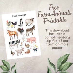 Farm Animals Count and Clip Cards, Counting 1-10, Number Flash Cards ...