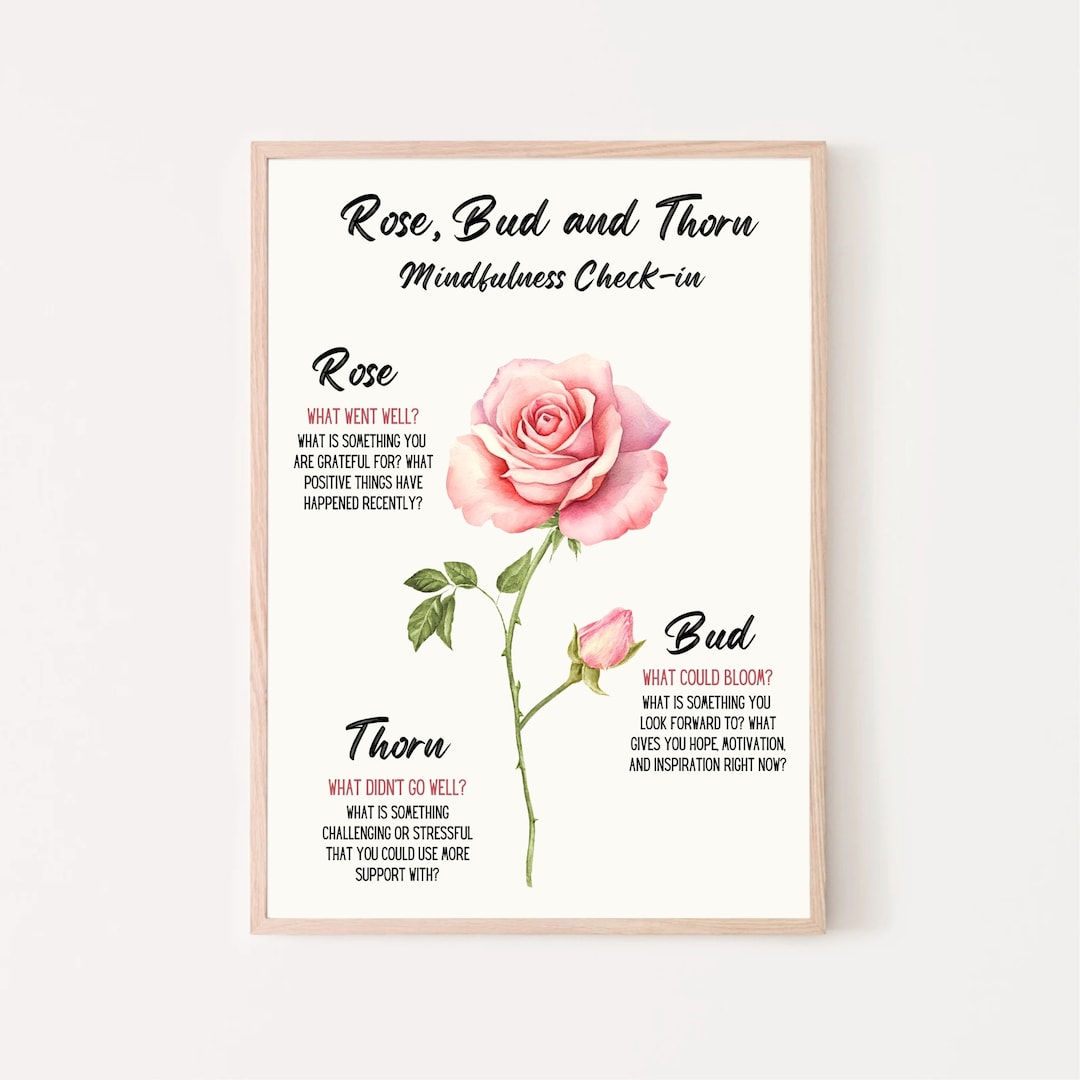 Rose Bud and Thorn Check-in Feelings Poster School Social Worker ...