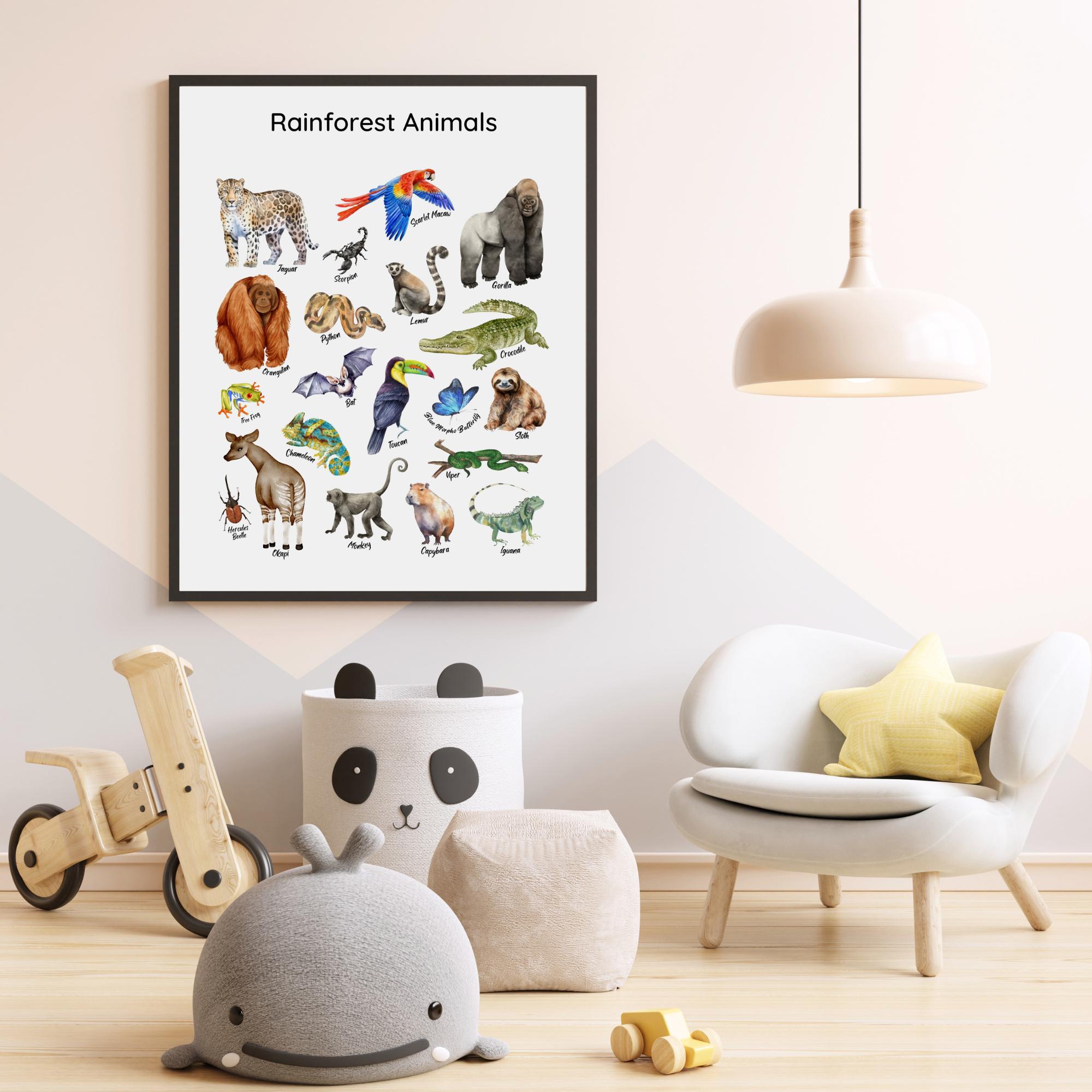 Rainforest Animals Poster Jungle Animal Chart Educational Classroom ...