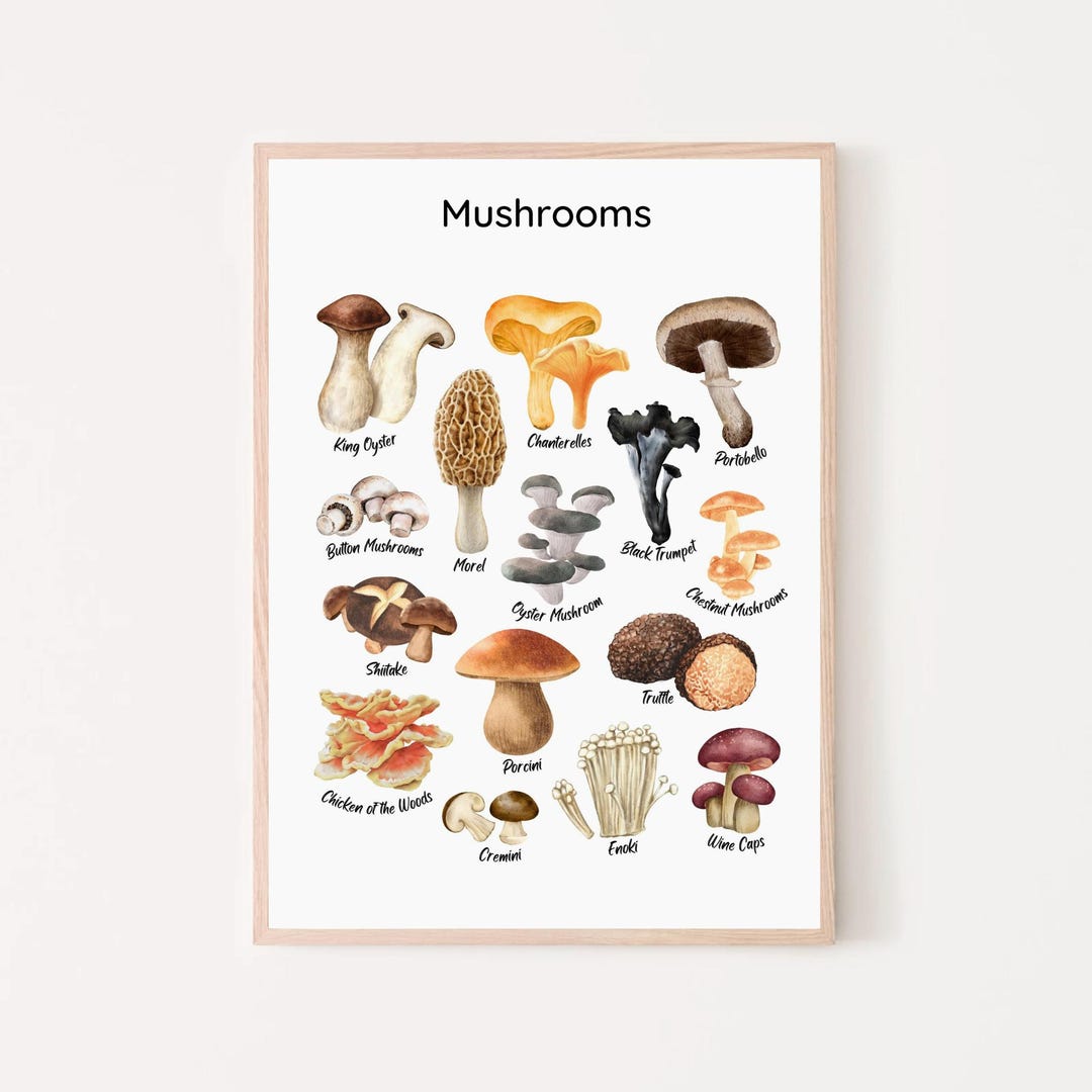 Mushroom Educational Poster Printable Fungi Food Chart Kitchen Artwork ...