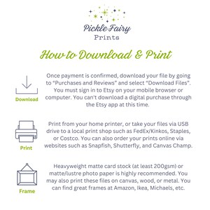 Set of 6 Animals Educational Posters Insects Farm Rainforest Woodland ...