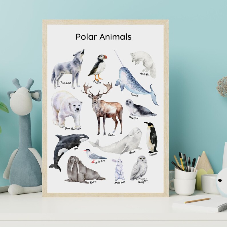 Polar Animals Educational Poster Arctic Tundra Animals Montessori ...
