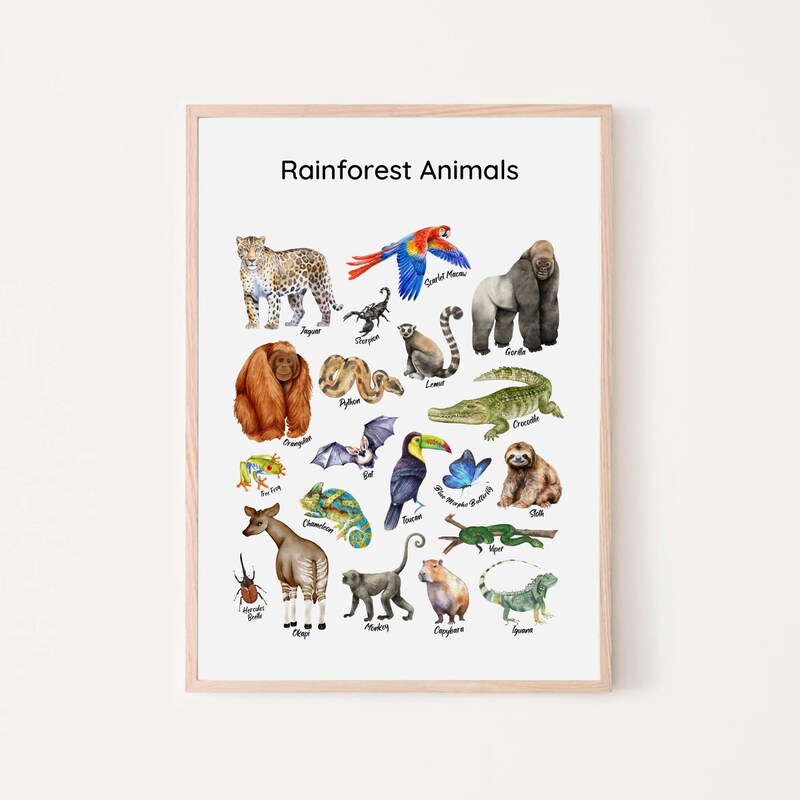 Animals Poster - Etsy