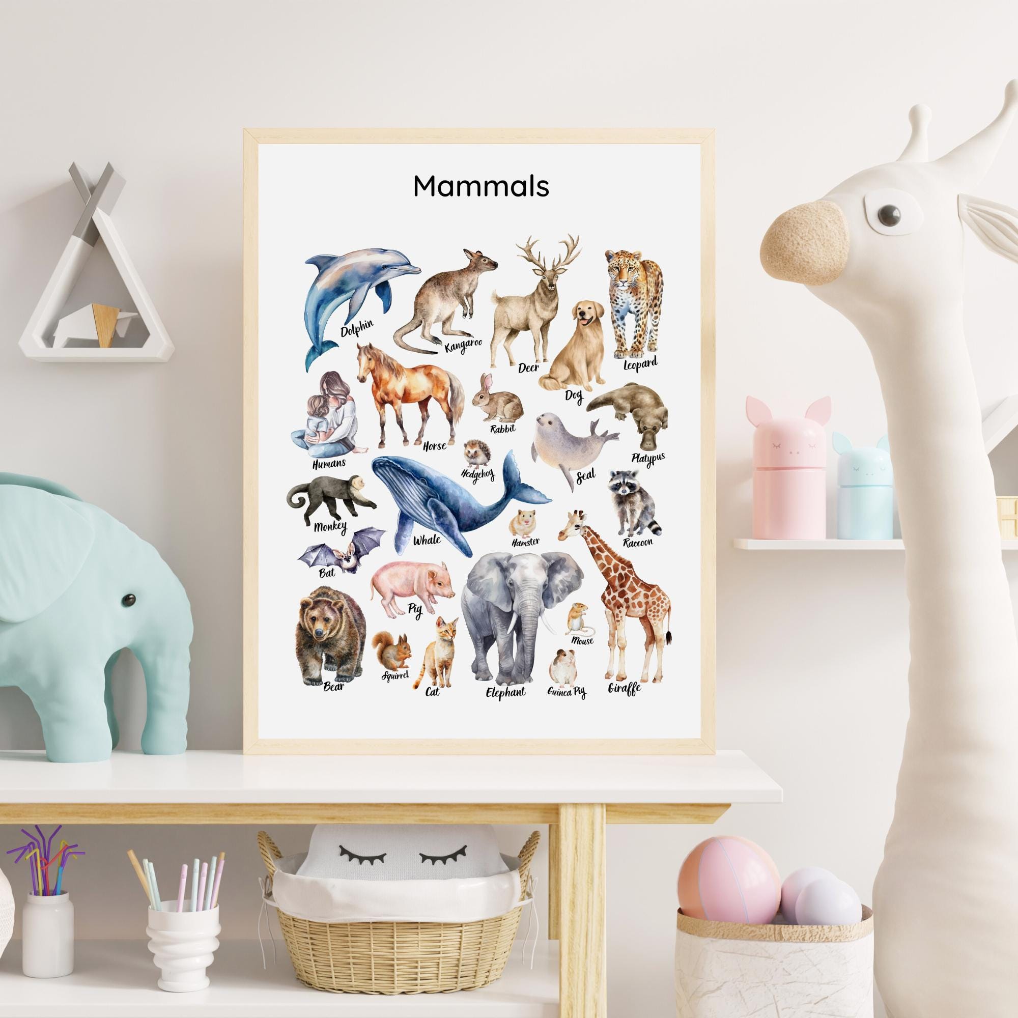 Mammals Educational Poster Animal Chart Montessori Classroom Decor ...