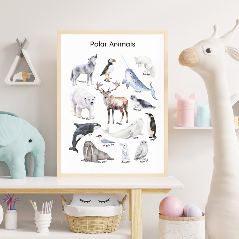 Polar Animals Educational Poster Arctic Tundra Animals Montessori ...